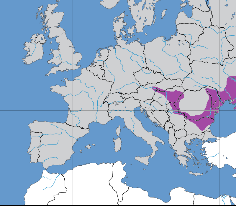 The True Story of the Celts – Vellaunos